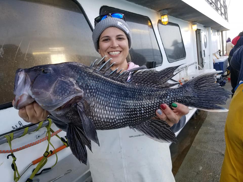 Get in on sea bass before season closes at end of month – Tight Lines