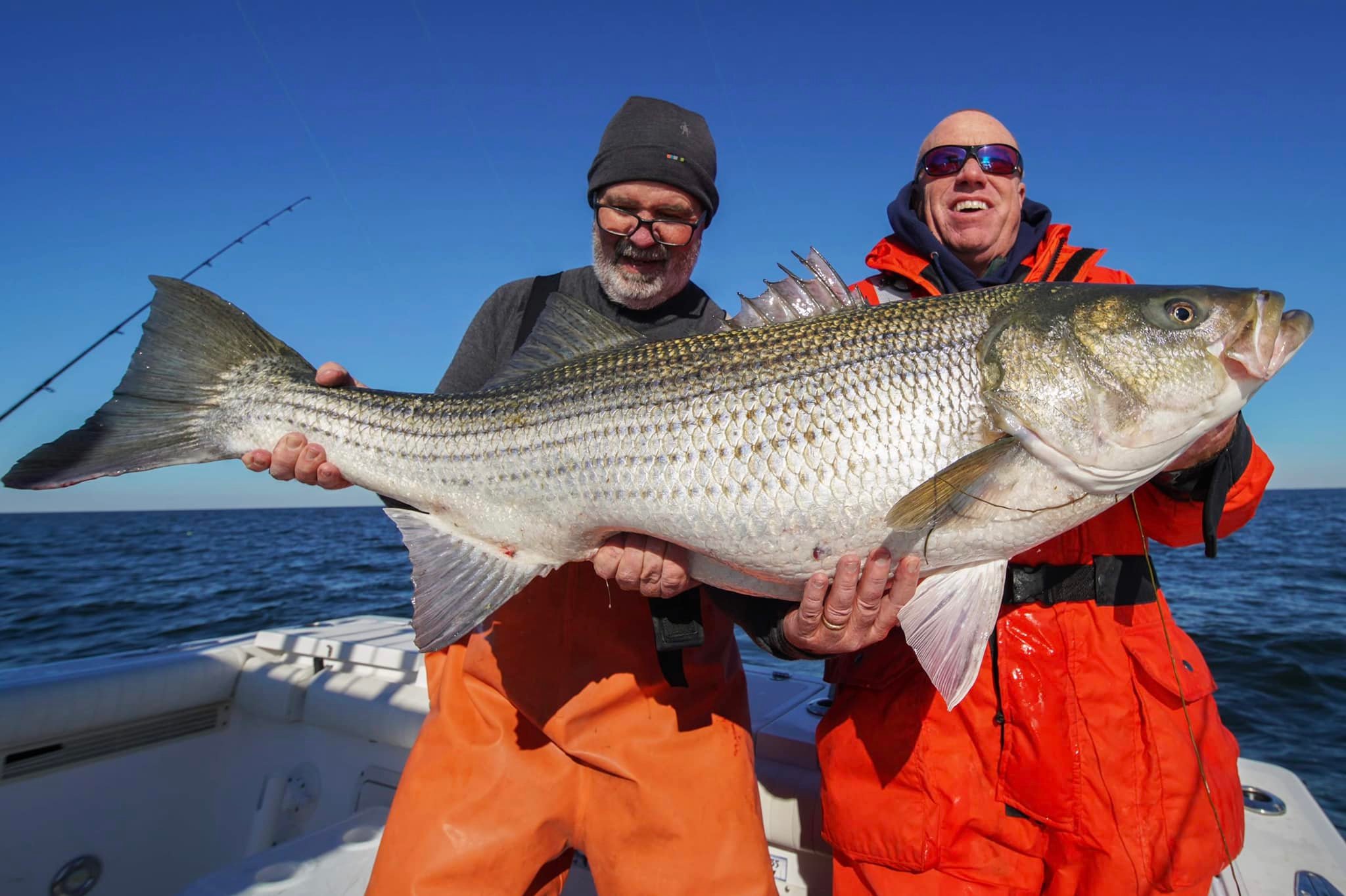 Striper surf blitz reported at Sandy Hook – Tight Lines