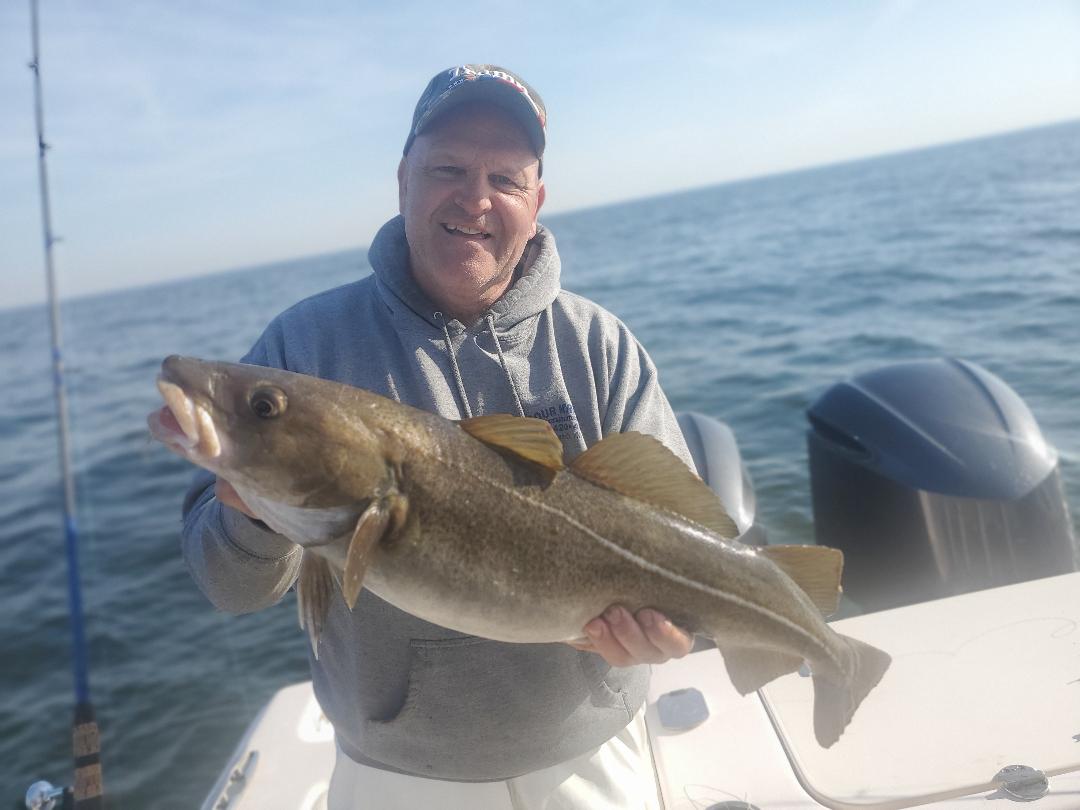 Surprising numbers of April cod being caught – Tight Lines