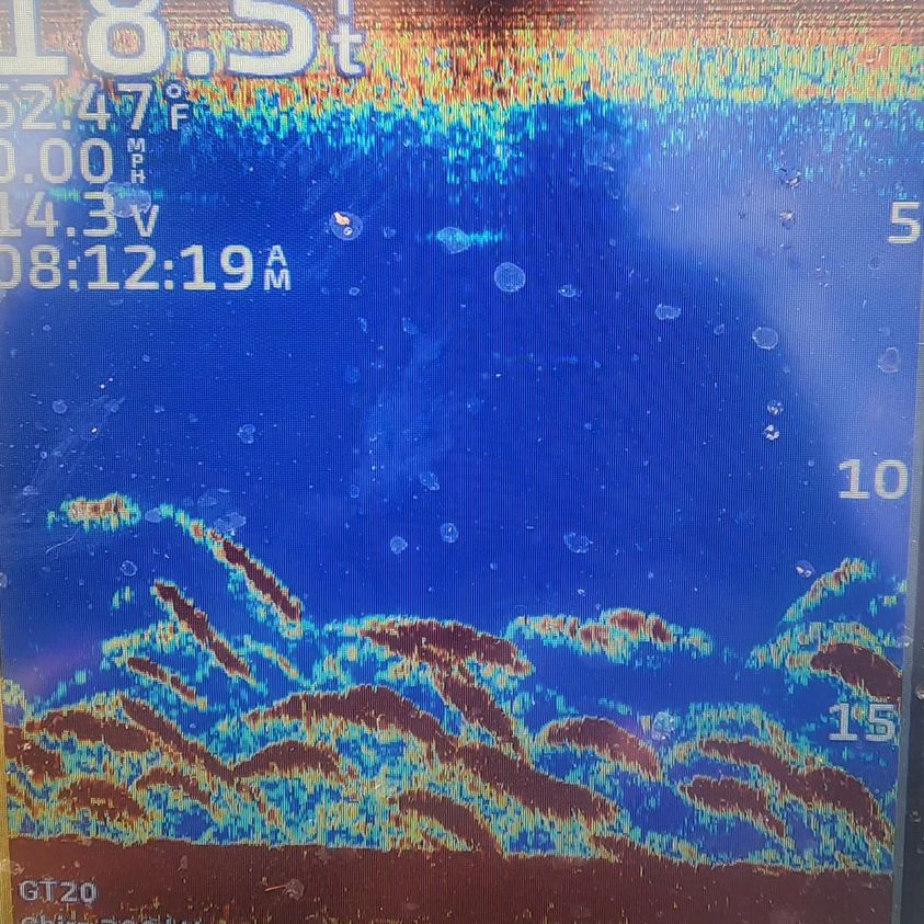 Lilly proves fluke are biting – Tight Lines