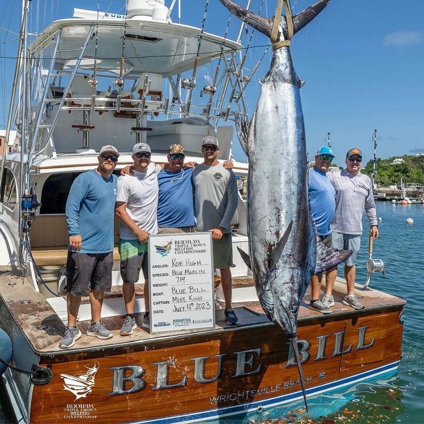 Bluefishing improves on Golden Eagle – Tight Lines