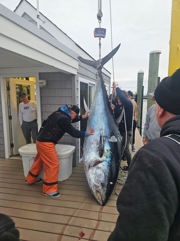 North Jersey surf came alive Saturday – Tight Lines