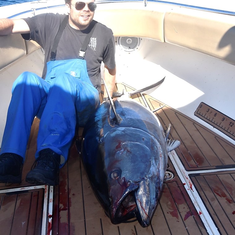 Bluefin jigging holding up – Tight Lines