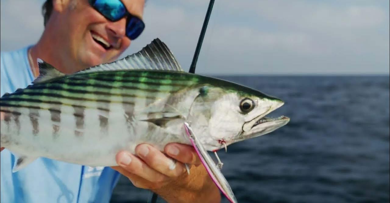 TIGHT LINES WITH AL RISTORI – Tight Lines