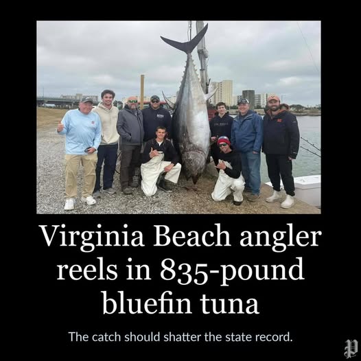State record bluefin tuna in Virginia – Tight Lines