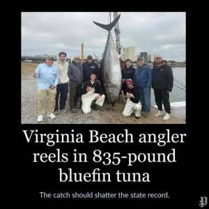 State record bluefin tuna in Virginia – Tight Lines